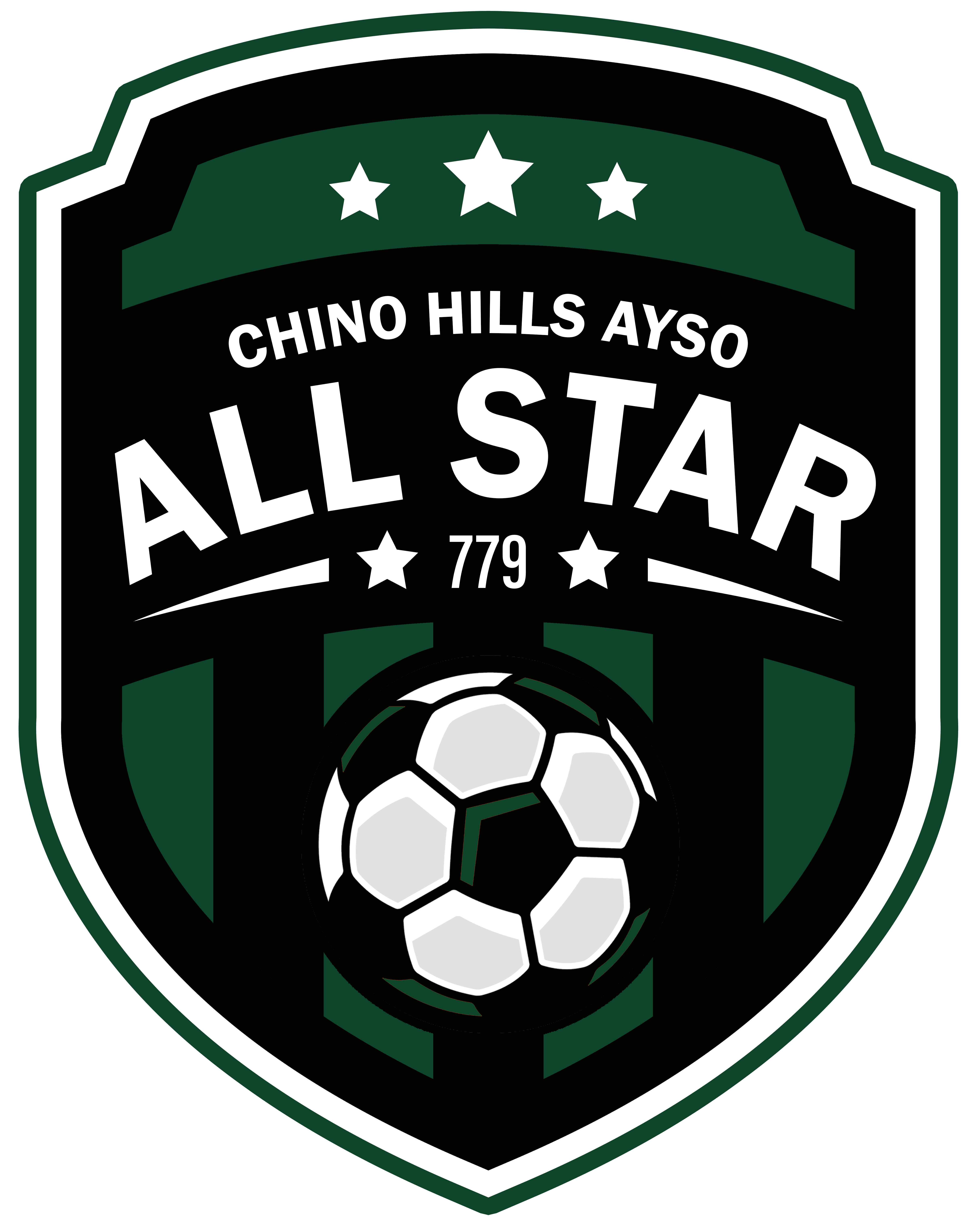 Spring Select/All-Star Information